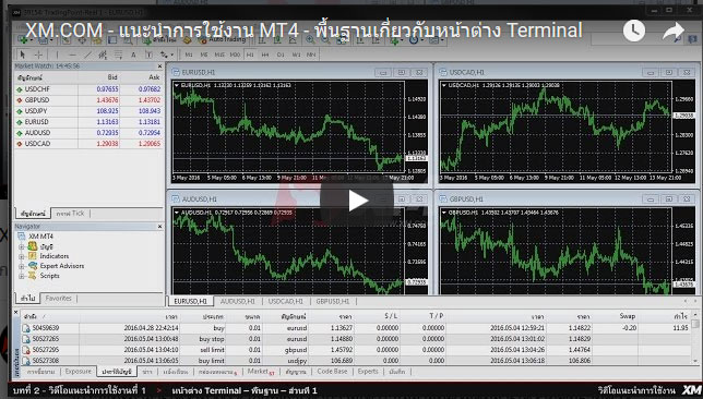 แนะนำการใช้งาน MT4 - พื้นฐานเกี่ยวกับหน้าต่าง Terminal - สอนเทรดฟรีมี ...