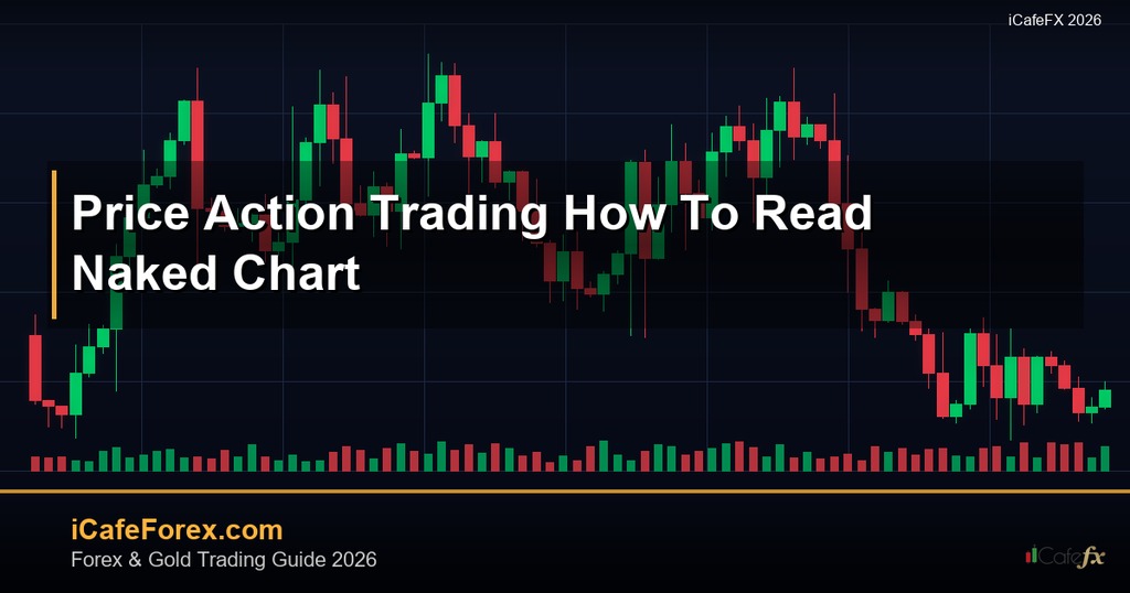 Price Action Trading วิธีอ่าน Naked Chart เทรด Forex – สอนเทรดฟรีมีระบบ ...